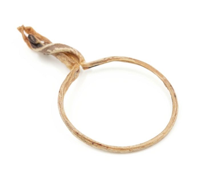 Anneau simple pizzle de porc – 100 % naturel et digestible | Länkē ...